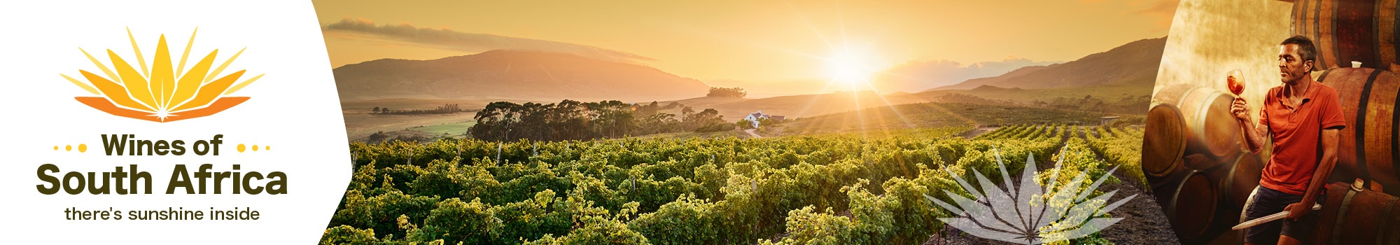 HOME [www.wosa.co.za]