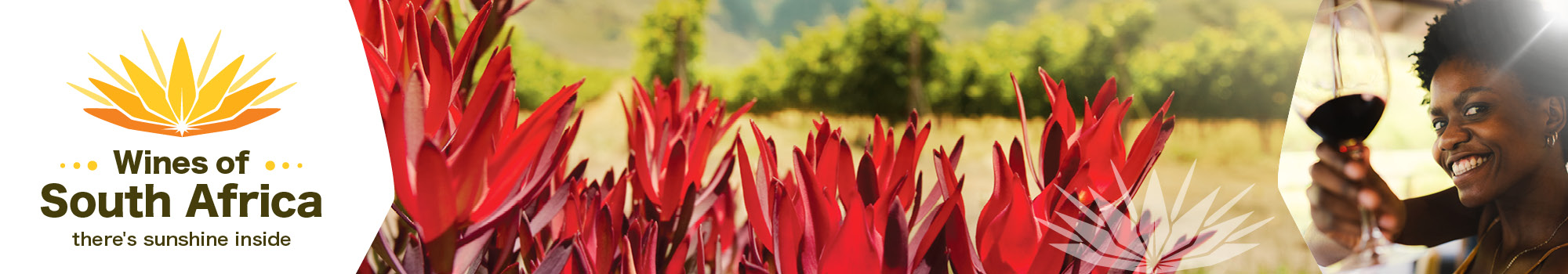 HOME [www.wosa.co.za]