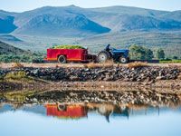 Blogs - SA Wine Legends: Jan Boland Coetzee