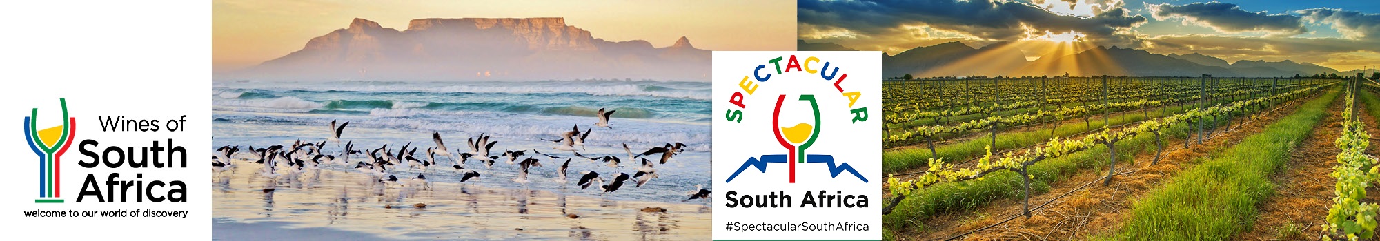 HOME [www.wosa.co.za]