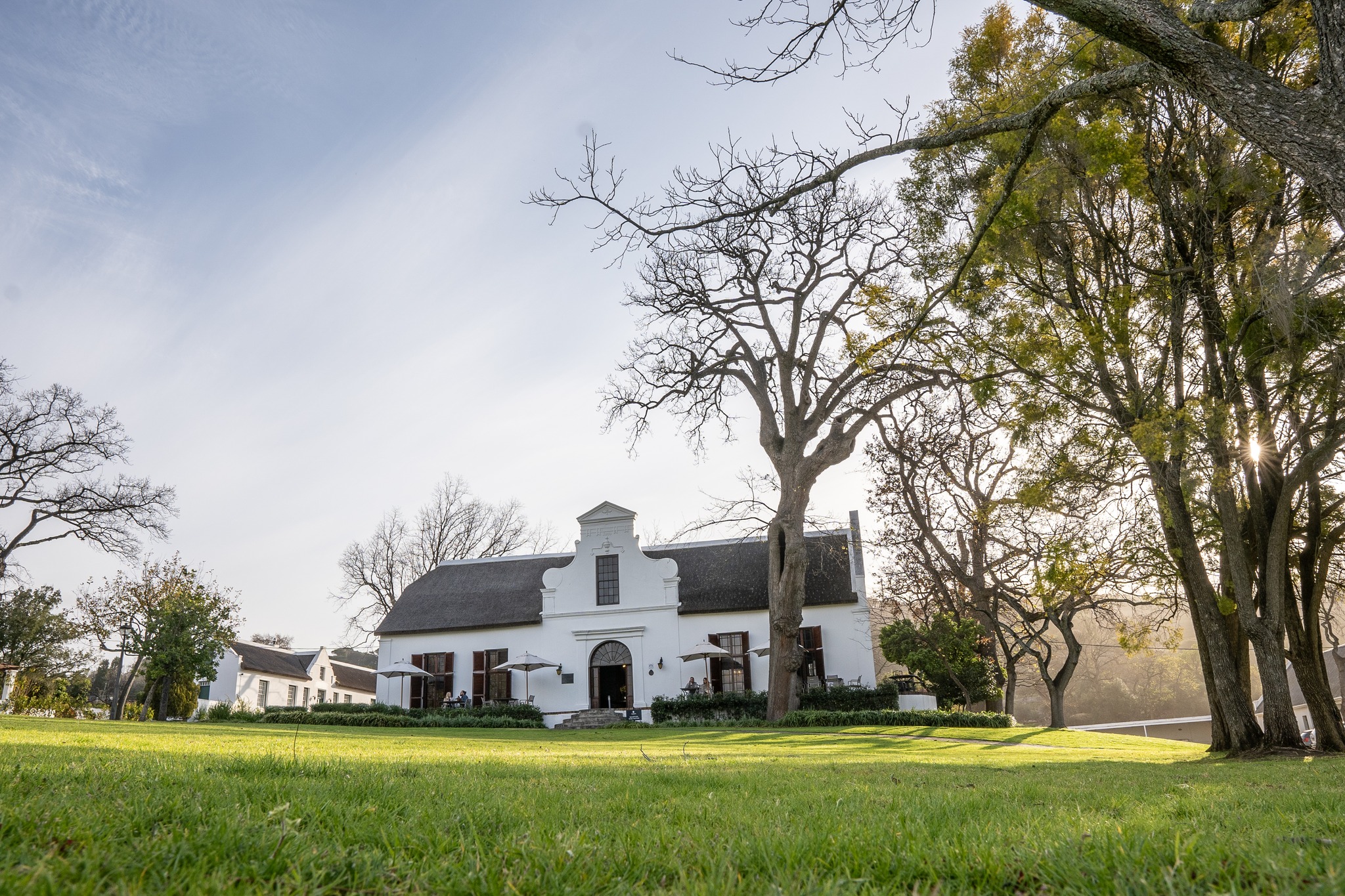 Blogs - July…a month to celebrate Shiraz – 5 Top wine farms to share a ...