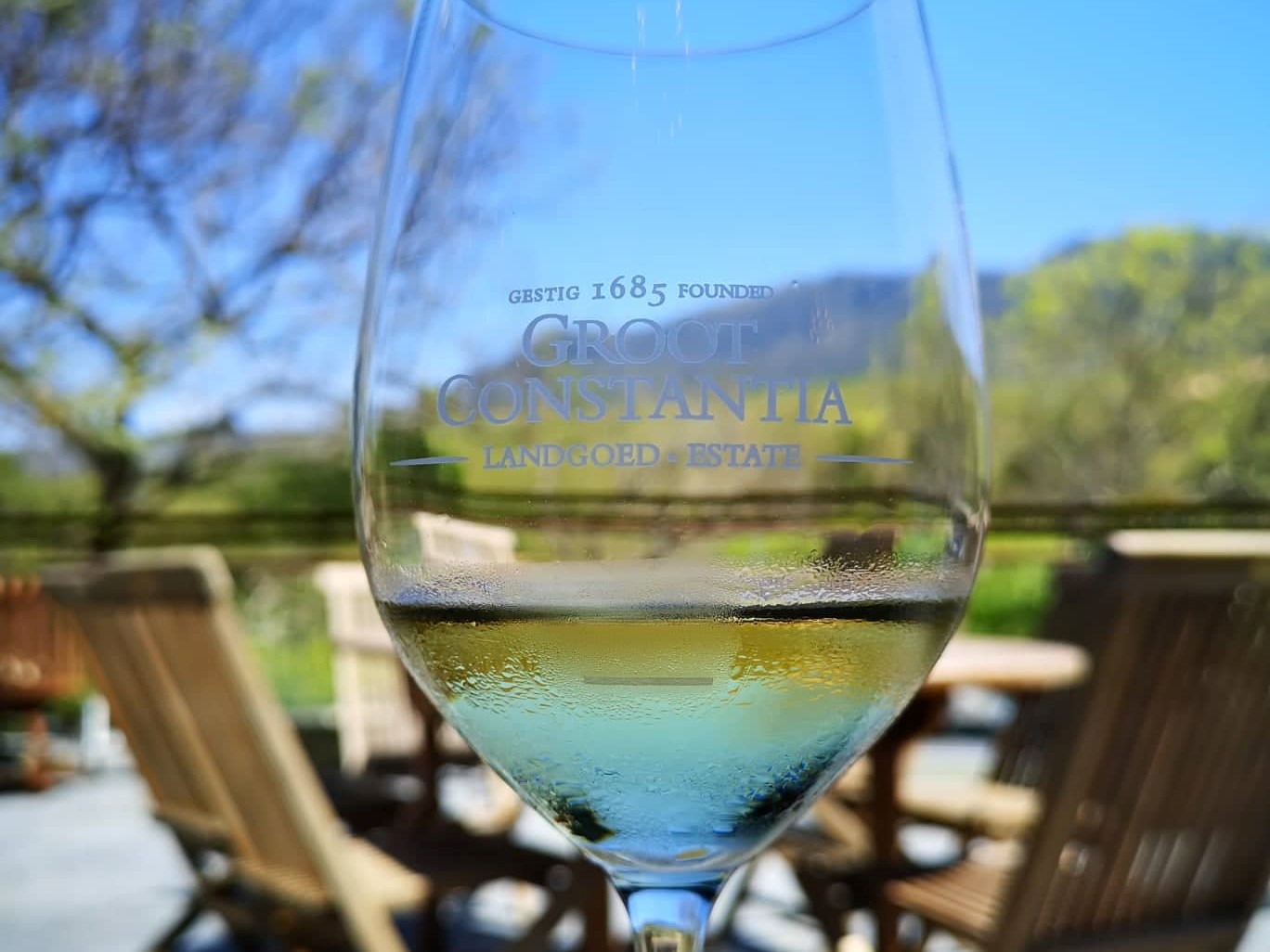 Blogs - My top 4 wine farms on the Constantia Wine Route