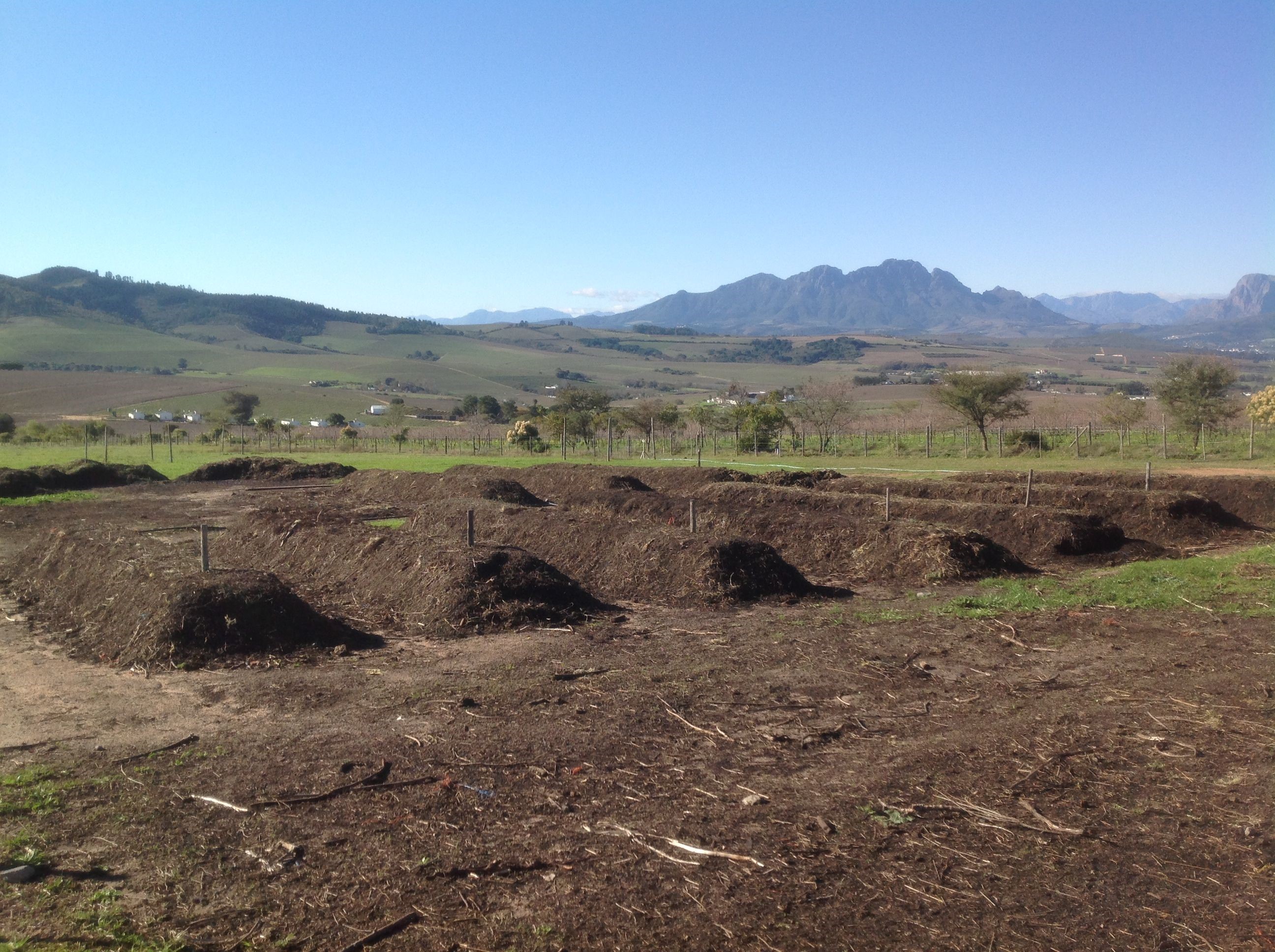 Blogs - Earth to earth